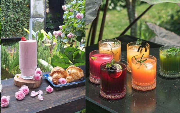 Thảnh Thơi Cà Phê Đà Lạt - Chốn “xanh” yên bình giữa thành phố